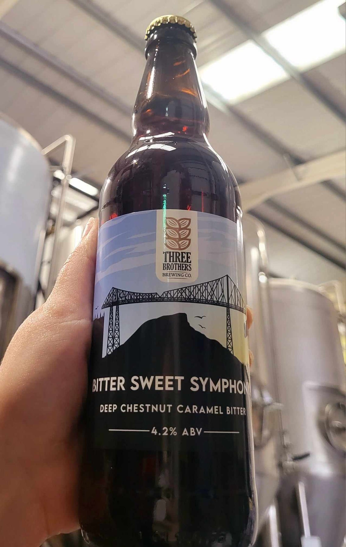 Beer – Three Brothers Brewing Company